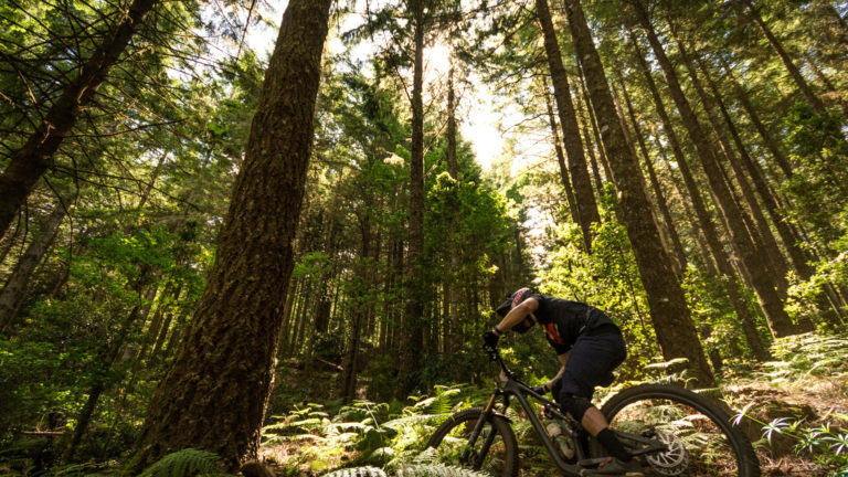 Mountain Biking in Poiso - João do Prado
